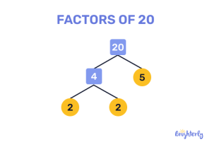 What are Factors of 20? ⭐ Definition With Examples