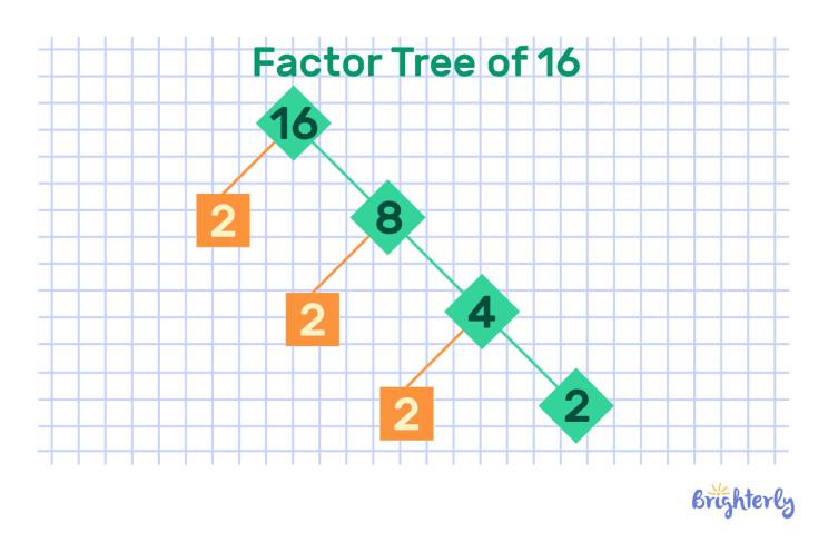 Prime Numbers – Definition with Examples