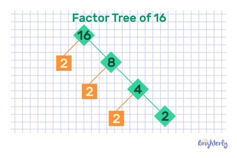 Prime Numbers – Definition with Examples