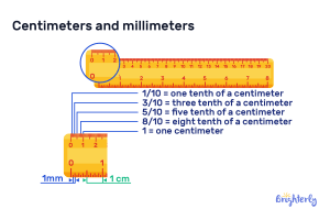 Ruler – Definition with Examples