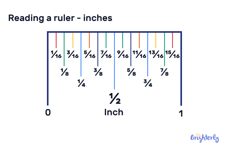 Ruler – Definition with Examples