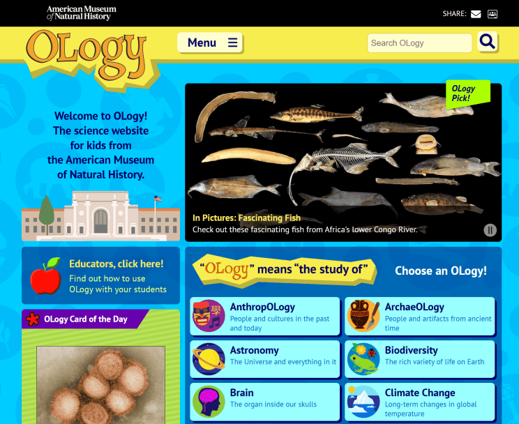 20+ Best Educational Websites for Kids