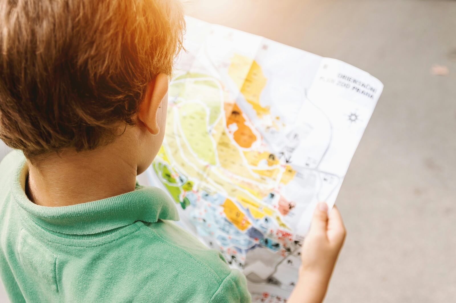 Roadschooling: 5 tips for traveling homeschoolers
