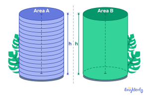 Cylinder in Math: Definition and Examples