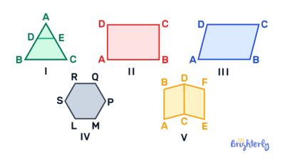 Line Segment – Definition, Formula, Examples