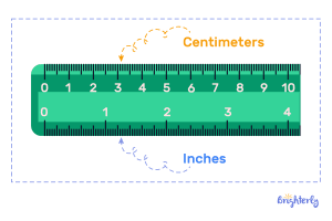 What Is a Meter Stick? Definition and Examples