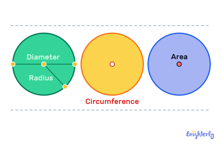 What is radius of a circle? Definition, Formula, and Examples