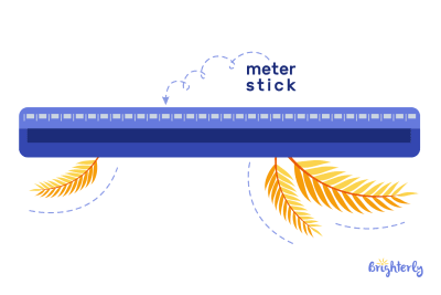 What Is a Meter Stick? Definition and Examples
