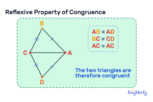 Reflexive Property: Definition, Equality, and Practice Math Problems