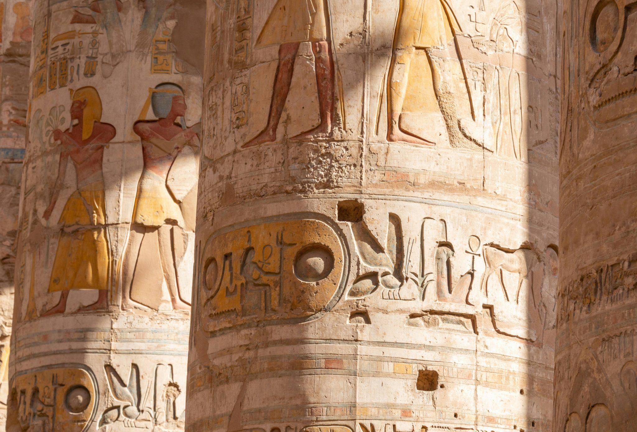 40 Fun Science Facts for Kids