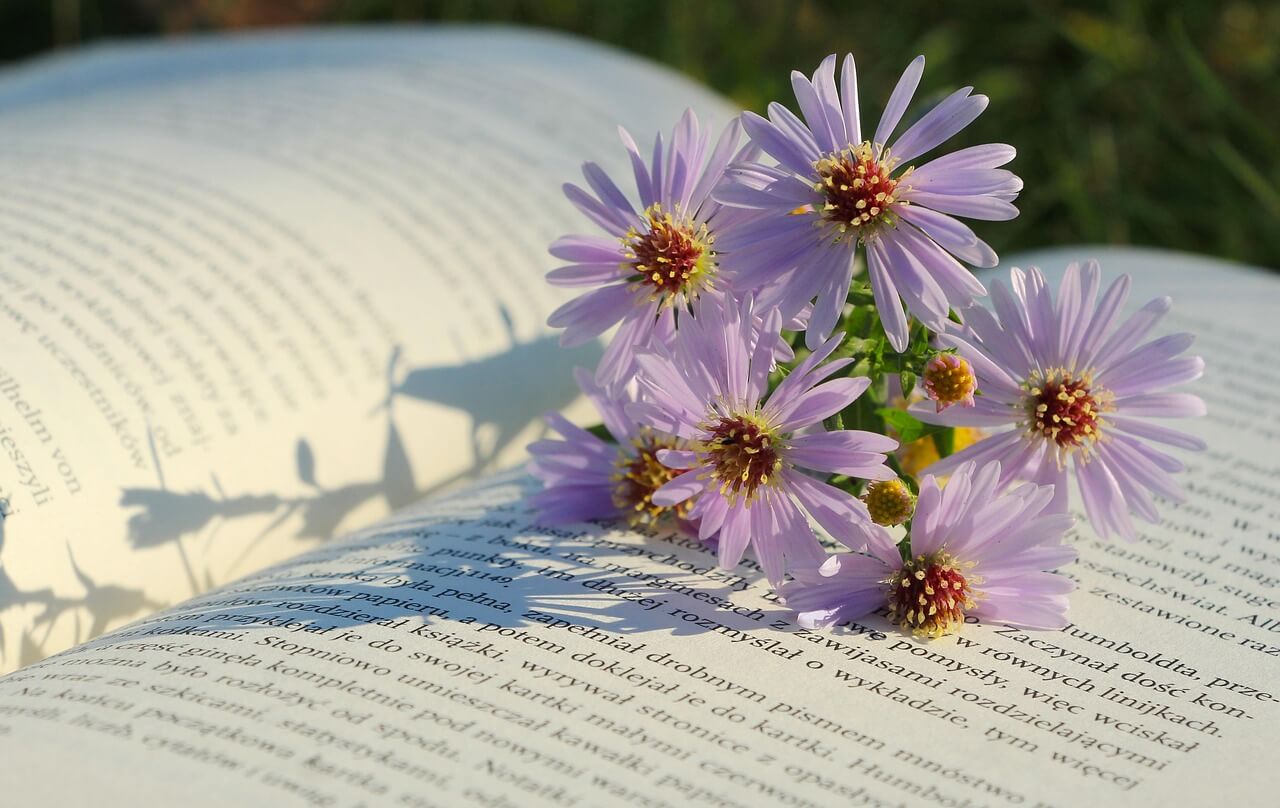 What are the elements of a story? Guide for Parents and Kids