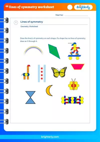 FREE The Truth About Lines of Symmetry Worksheet [PDFs]