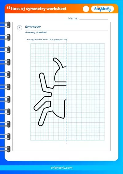 Symmetry Worksheets For 4th Grade Gr.3 Math, Ch Patterns And Symmetry,